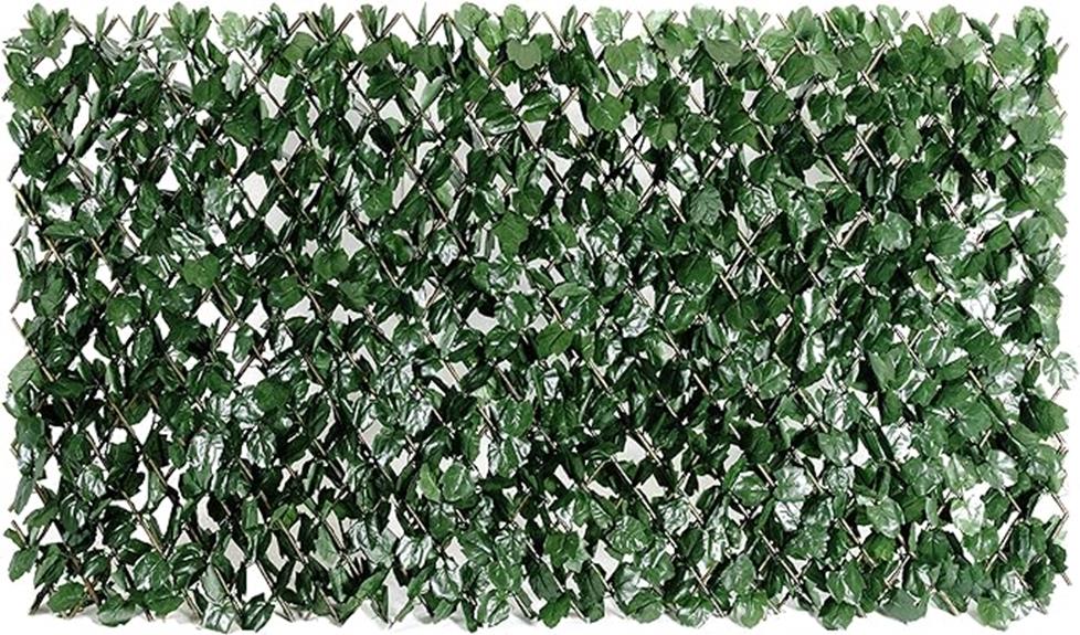 14 Best Shrubs for Privacy to Enhance Your Outdoor Space - Soul Sanctuaries