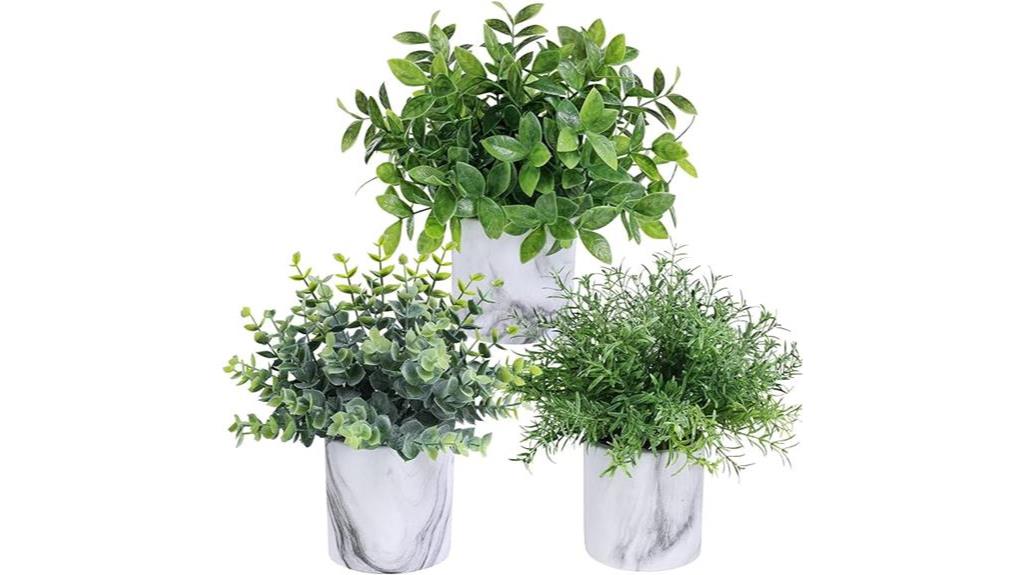 15 Best Bathroom Plants to Bring Life and Freshness to Your Space ...