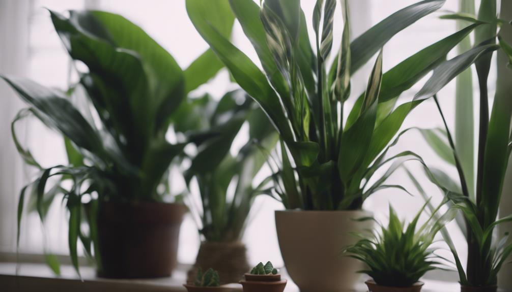 15 Best Indoor Plants for Low Light Spaces - Brighten up Your Home With ...